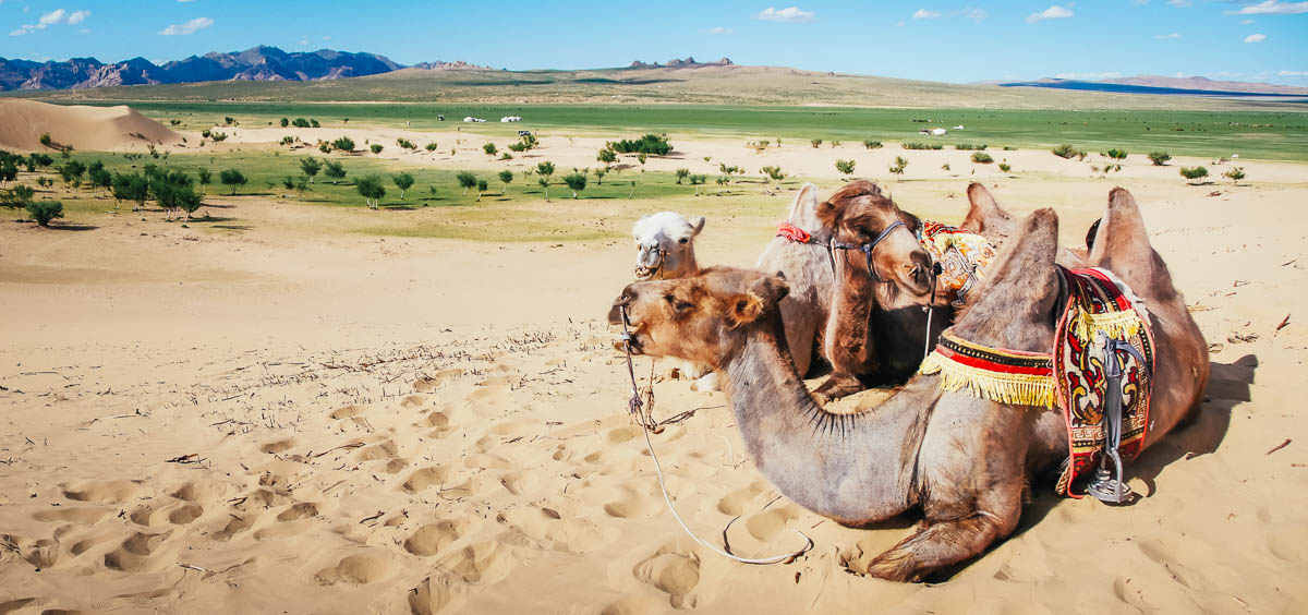 How to Find the Perfect Mongolia Tour on a Budget | Sidecar Photo